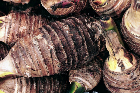 What is Taro Root? How to Cook Taro Root - aSweatLife