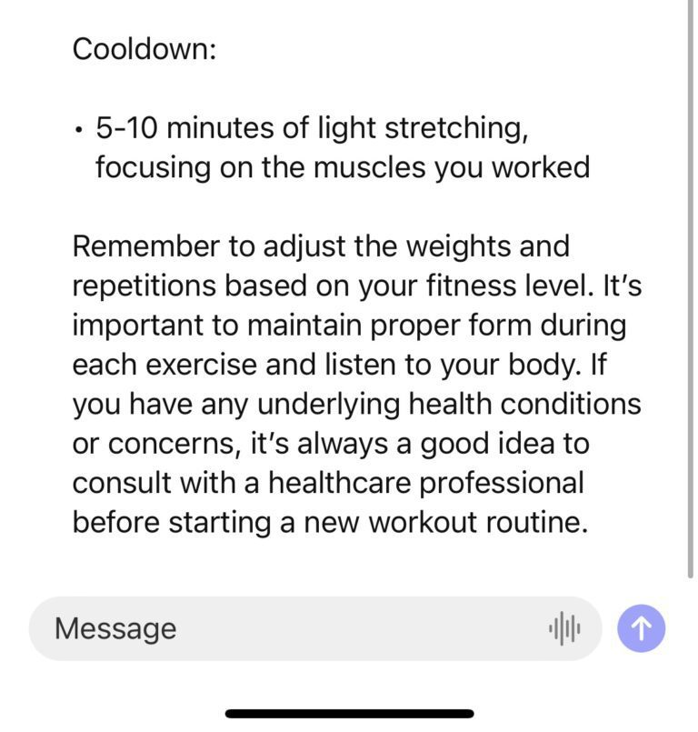 ChatGPT Workout Plan - aSweatLife