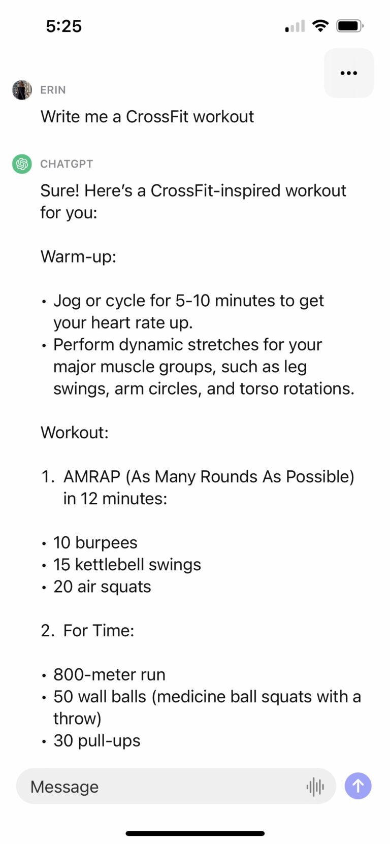 ChatGPT Workout Plan - aSweatLife