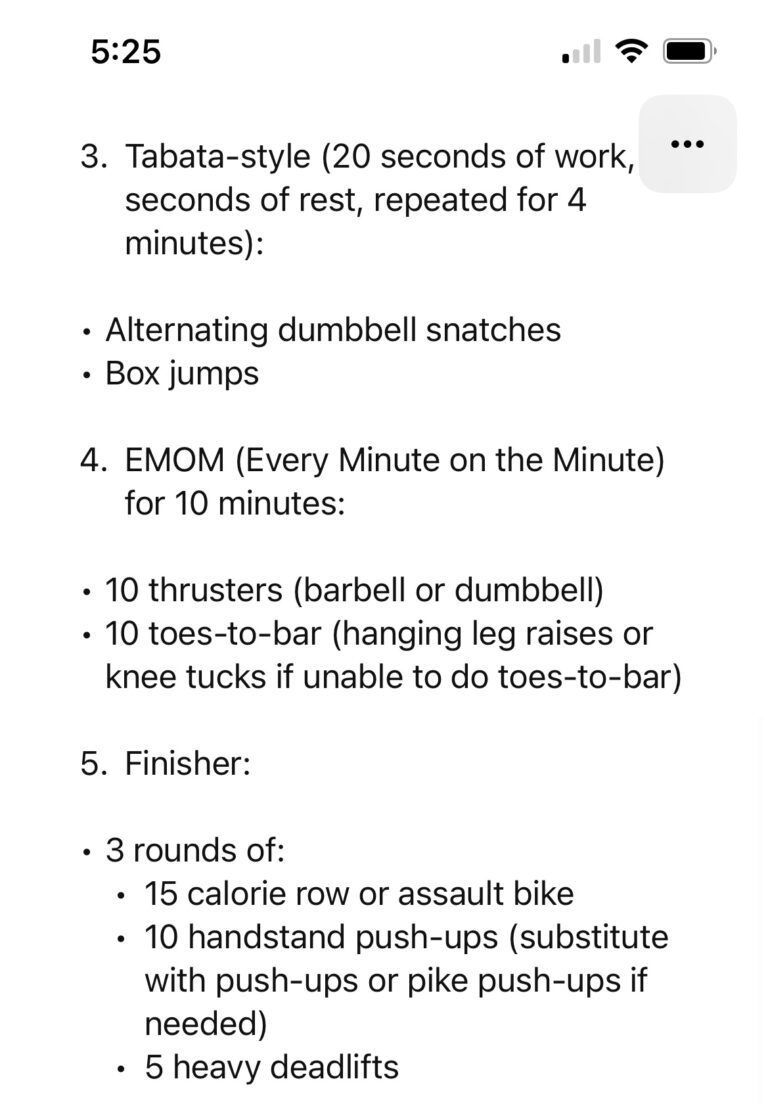 ChatGPT Workout Plan - aSweatLife