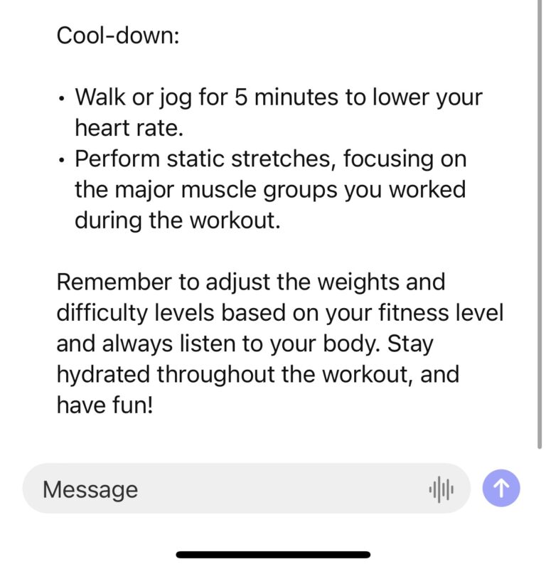 ChatGPT Workout Plan - aSweatLife